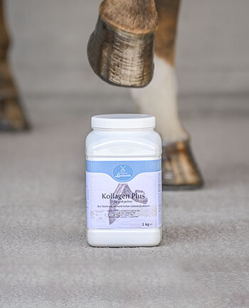 Zusatzfutter für Pferde im Onlineshop | kraemer.at