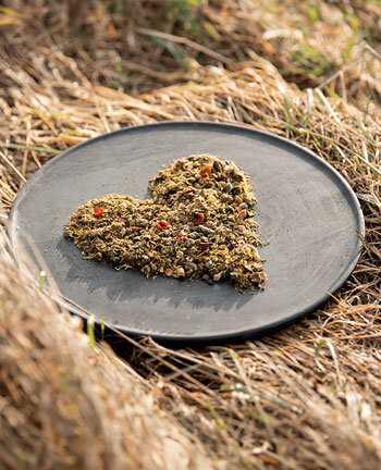 Ihr Onlineshop für Pferdefutter | kraemer.at