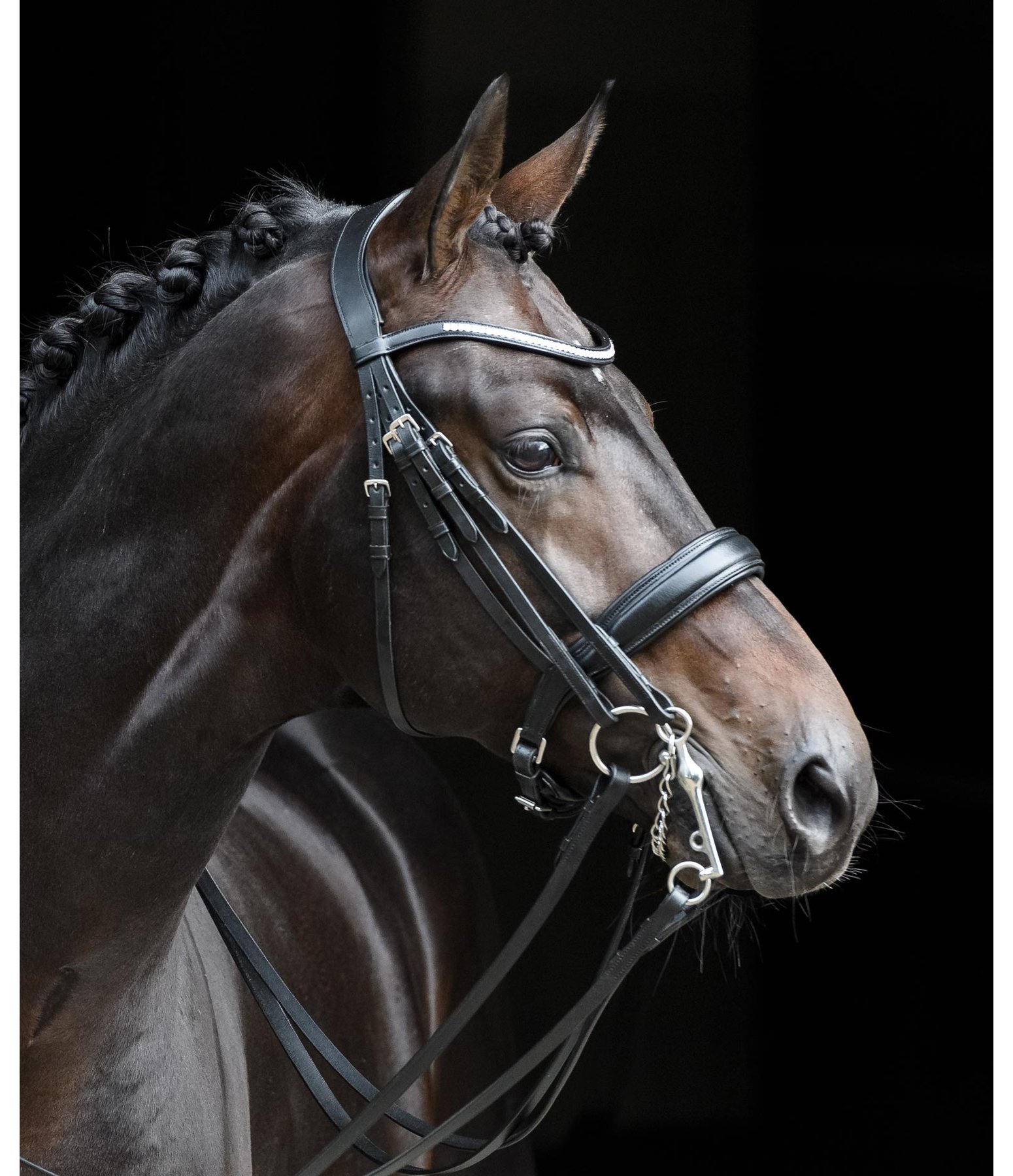Kandare Ergonomic Dressage - Schwedisch & Kandaren - Krämer Pferdesport ...