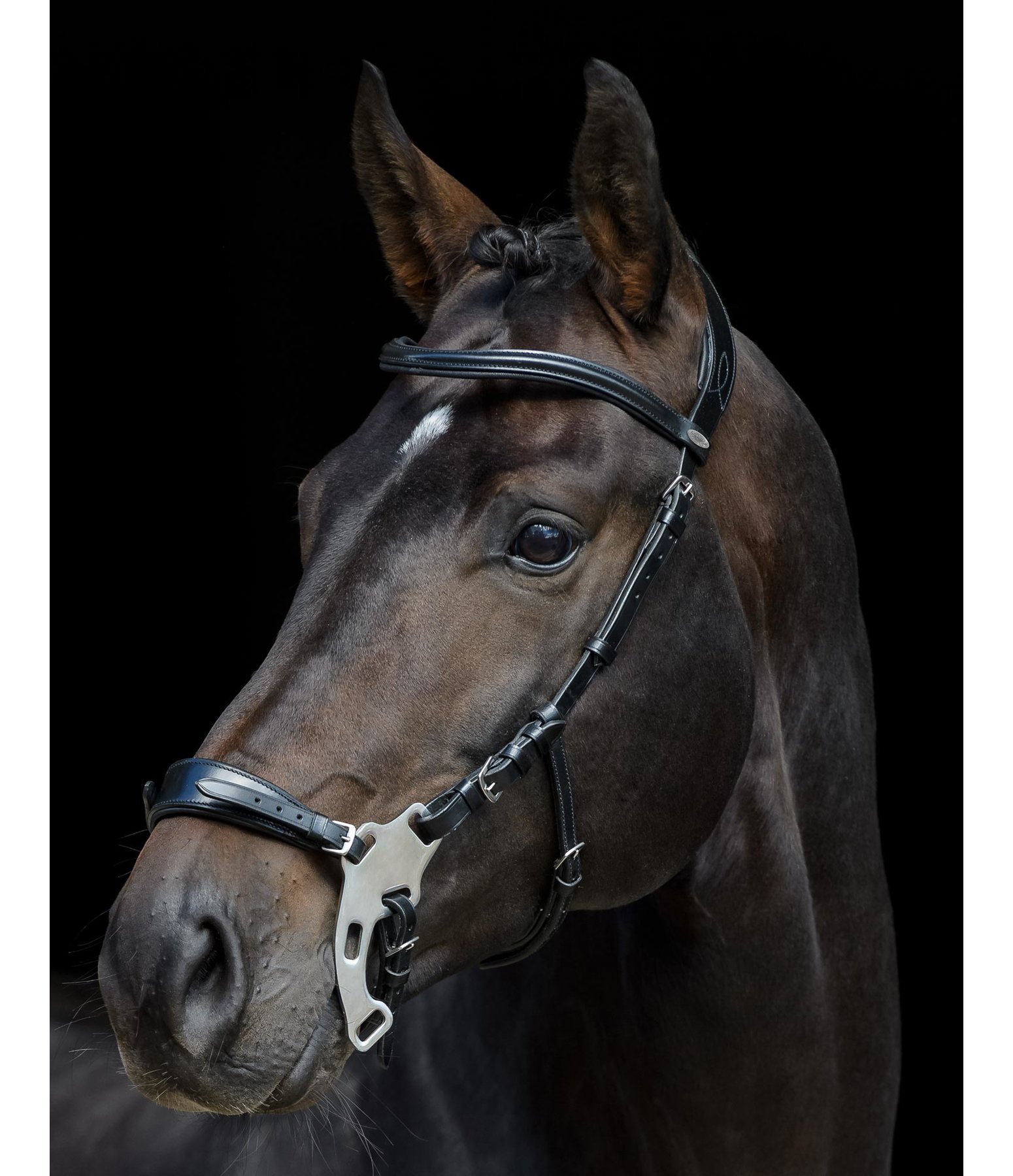 Hackamore Zaum Anatomical - Gebisslose- & Allwetterzäume - Krämer ...