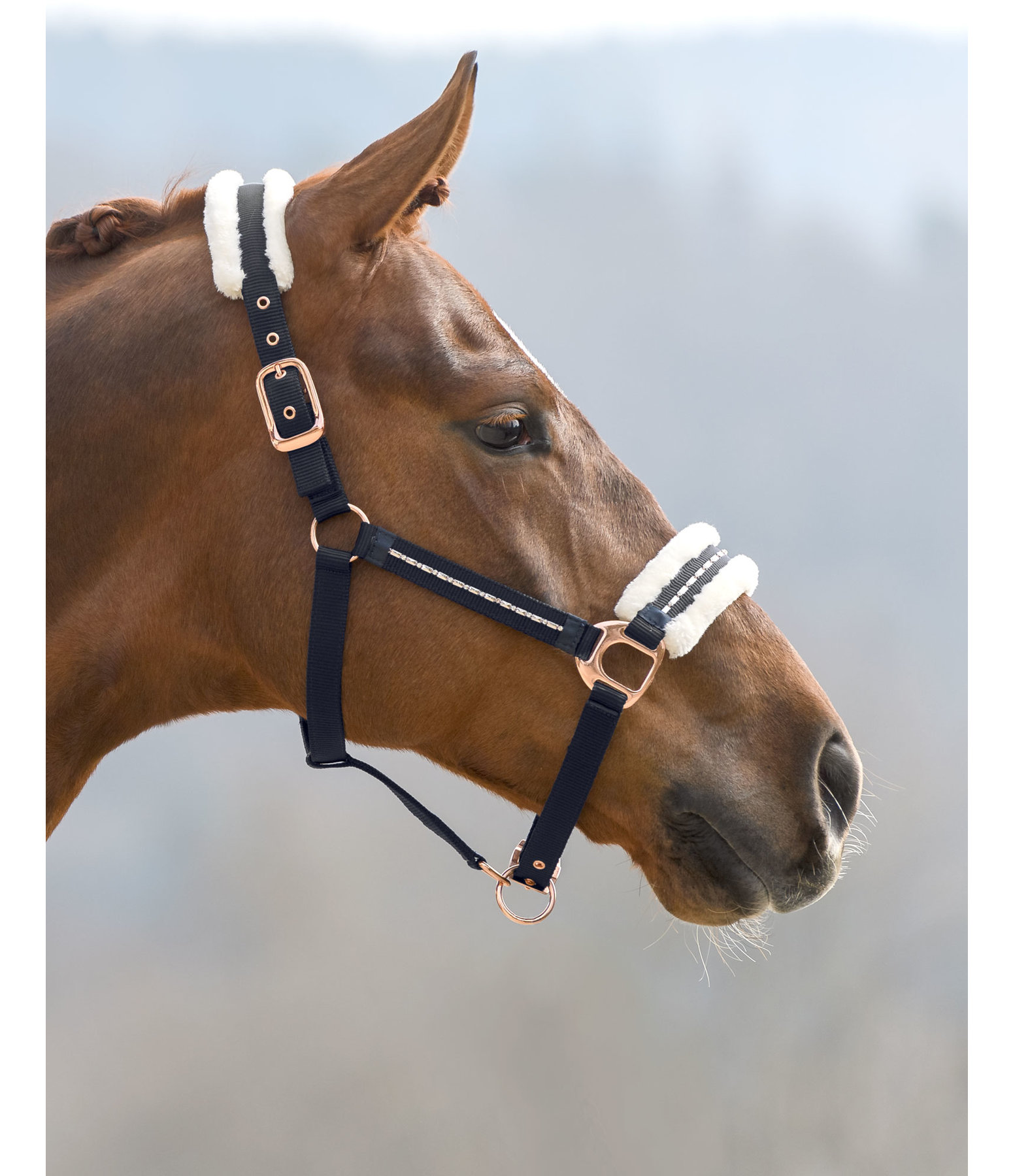 Halfter Finery - SHOWMASTER Halfter & Stricke - Krämer Pferdesport ...