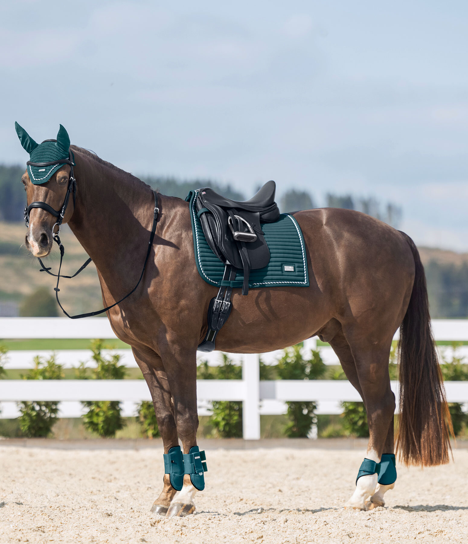 Outfit Sophistication Regular in tropical-green - Krämer Pferdesport ...