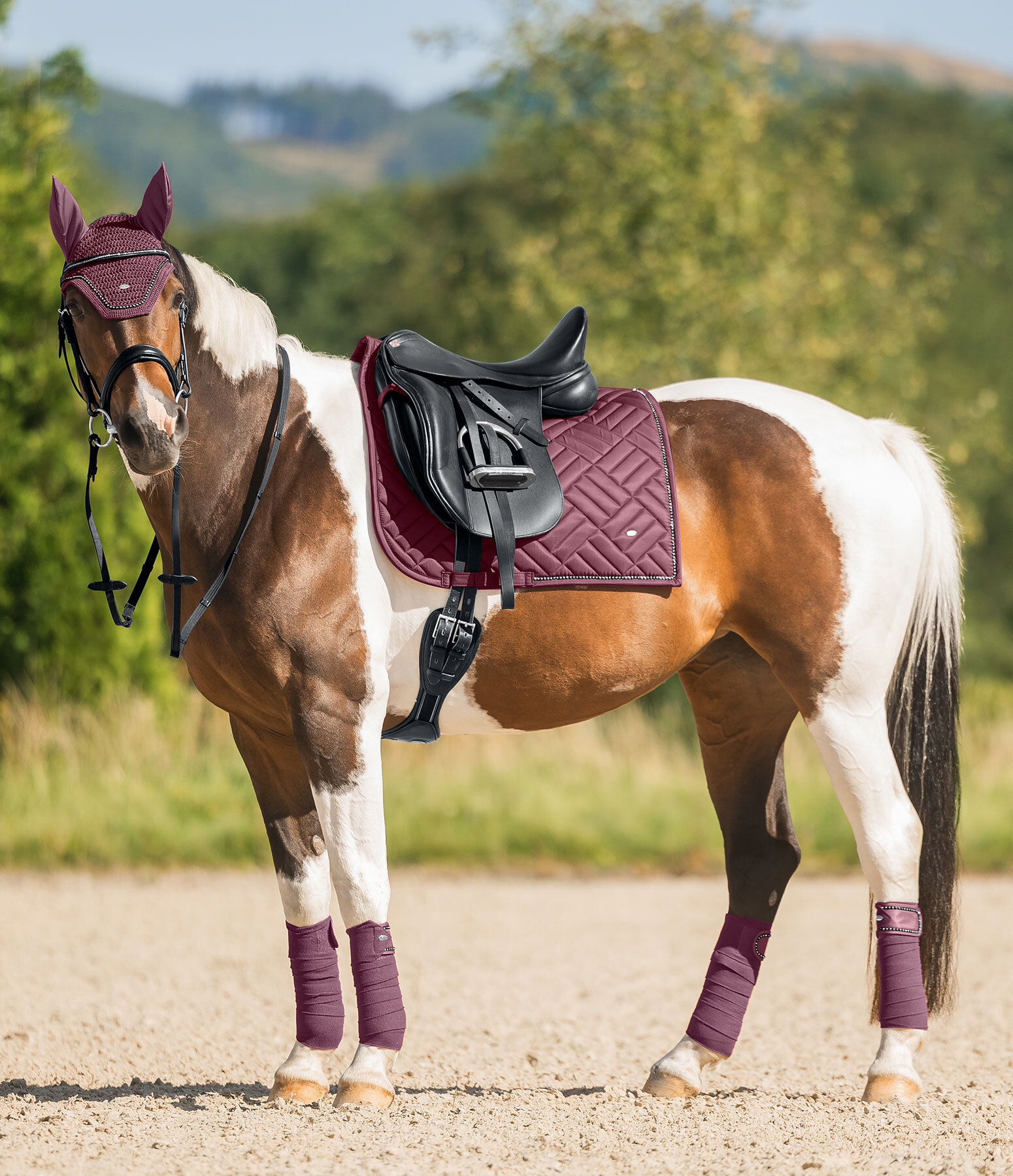 Outfit Brilliant in vintage-berry - Krämer Pferdesport Österreich